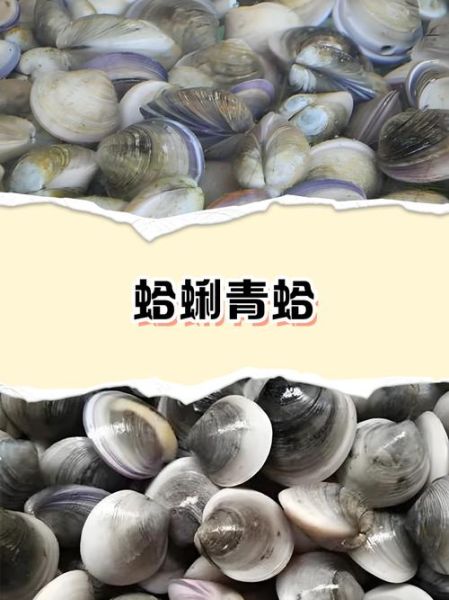 蛤是多音字吗_蛤有几个读音-第3张图片-山城妙识