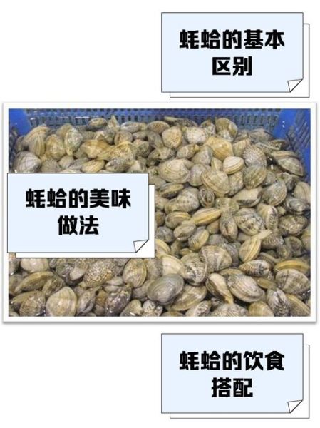 蛤是多音字吗_蛤有几个读音-第2张图片-山城妙识