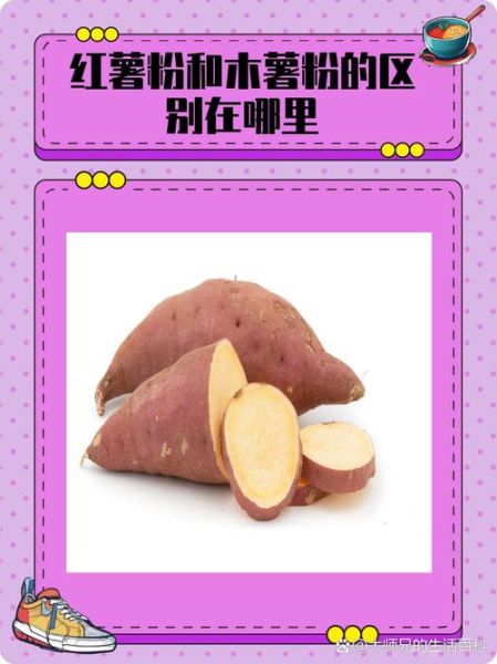 木薯粉是什么做成的_木薯粉和红薯粉区别-第3张图片-山城妙识