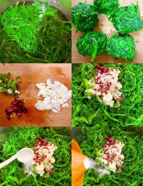 苜蓿菜怎么做好吃_苜蓿菜的家常做法大全-第3张图片-山城妙识