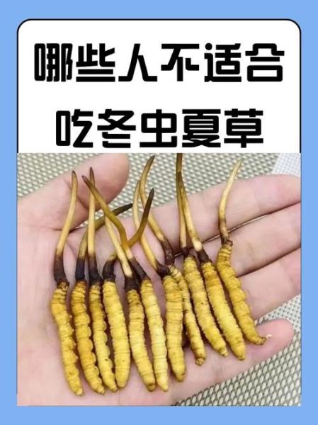 冬虫夏草适合什么人吃_冬虫夏草的功效与作用-第2张图片-山城妙识