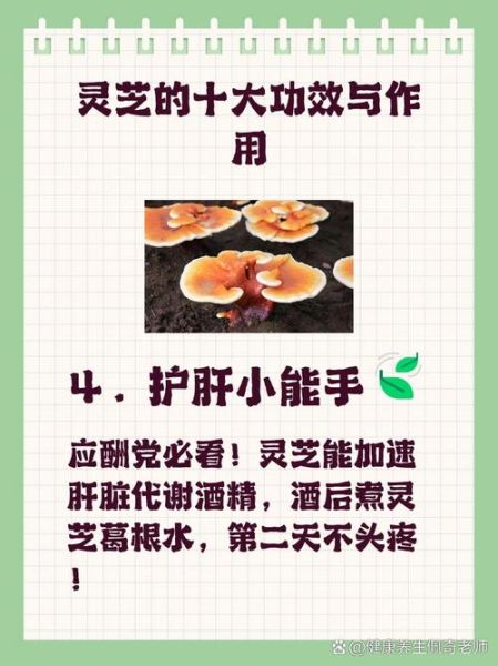 灵芝能治妇科病吗_灵芝对妇科炎症的作用-第3张图片-山城妙识