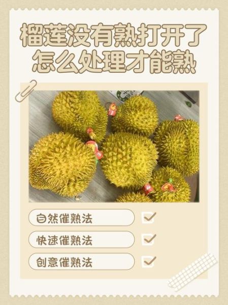 剥开的榴莲没熟怎么办_榴莲不熟还能吃吗-第2张图片-山城妙识