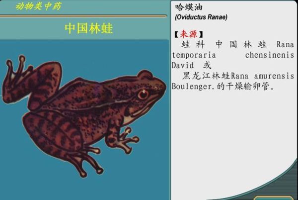 哈士蟆是什么_哈士蟆怎么分辨真假-第2张图片-山城妙识 哈士蟆是什么_哈士蟆怎么分辨真假-第2张图片-山城妙识