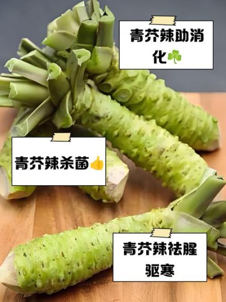 青芥辣怎么吃_青芥辣配什么好吃-第1张图片-山城妙识