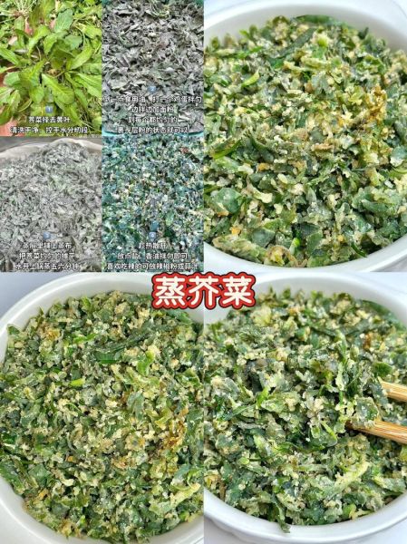 青芥辣怎么吃_青芥辣配什么好吃-第3张图片-山城妙识