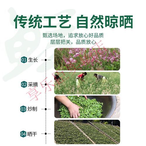 罗布麻降血压吗_罗布麻茶怎么喝-第1张图片-山城妙识 罗布麻降血压吗_罗布麻茶怎么喝-第1张图片-山城妙识