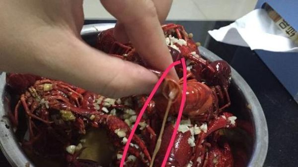 小龙虾寄生虫图片_如何避免感染-第1张图片-山城妙识 小龙虾寄生虫图片_如何避免感染-第1张图片-山城妙识