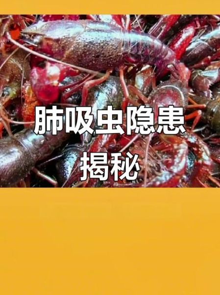 小龙虾寄生虫图片_如何避免感染-第2张图片-山城妙识 小龙虾寄生虫图片_如何避免感染-第2张图片-山城妙识