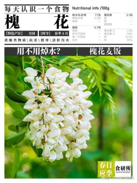 黄槐花的功效与作用_黄槐花怎么吃最好-第2张图片-山城妙识