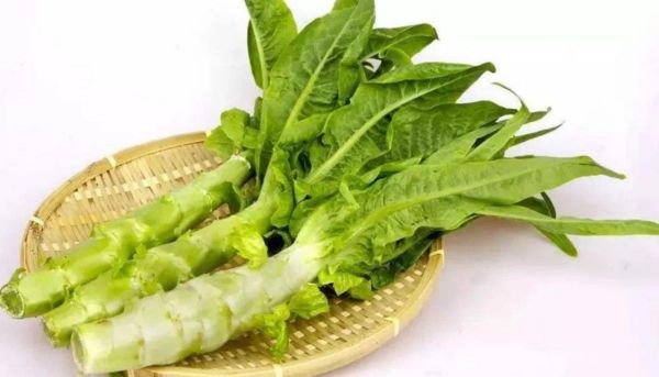 莴苣图片大全大图_莴苣高清图怎么拍-第2张图片-山城妙识 莴苣图片大全大图_莴苣高清图怎么拍-第2张图片-山城妙识