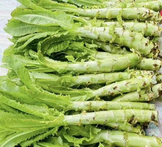 莴苣图片大全大图_莴苣高清图怎么拍-第1张图片-山城妙识 莴苣图片大全大图_莴苣高清图怎么拍-第1张图片-山城妙识