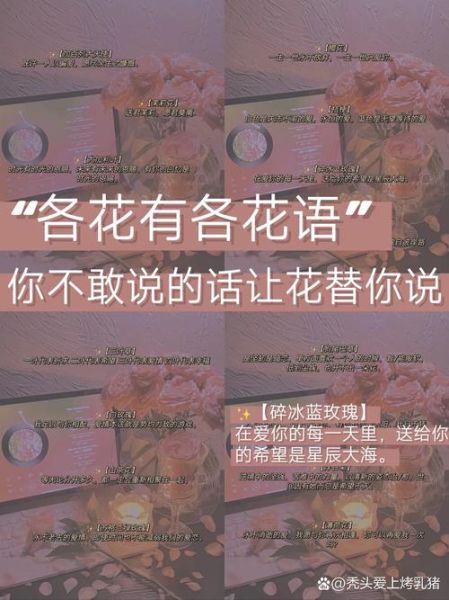 冷门花的花语有哪些_冷门花适合送什么人-第1张图片-山城妙识