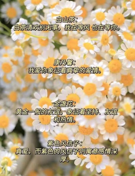 冷门花的花语有哪些_冷门花适合送什么人-第2张图片-山城妙识