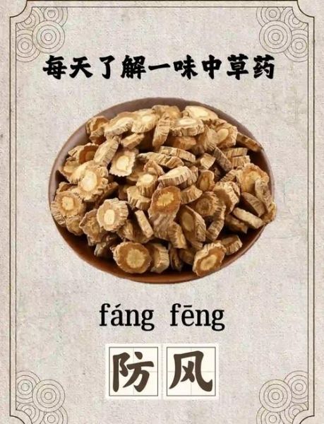 防风的功效与作用是什么_防风适合哪些人吃-第1张图片-山城妙识 防风的功效与作用是什么_防风适合哪些人吃-第1张图片-山城妙识