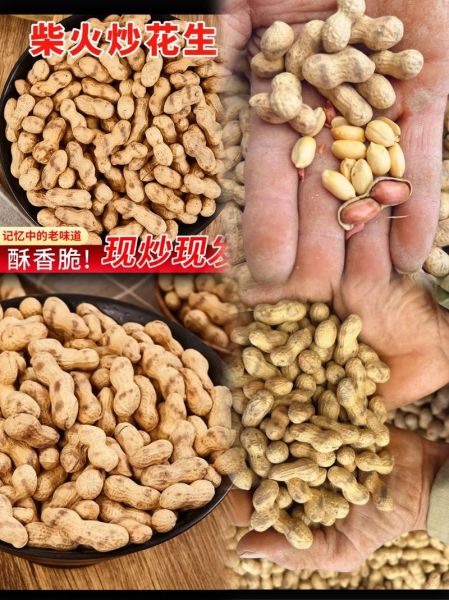 花生有什么营养价值_花生一天吃多少合适-第3张图片-山城妙识 花生有什么营养价值_花生一天吃多少合适-第3张图片-山城妙识