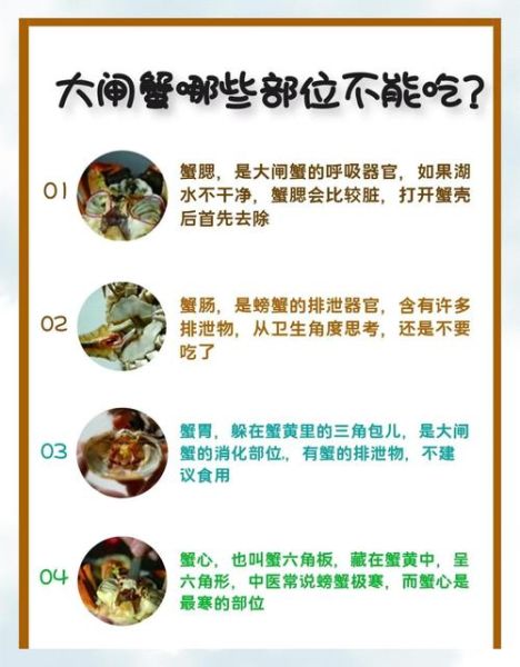 大闸蟹哪些部位不能吃_死蟹为什么不能吃-第2张图片-山城妙识 大闸蟹哪些部位不能吃_死蟹为什么不能吃-第2张图片-山城妙识