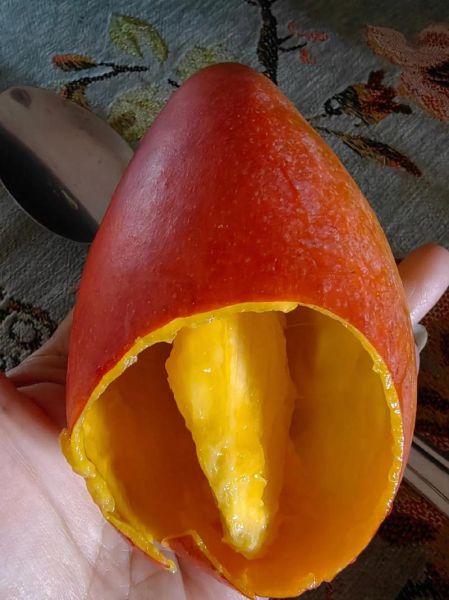 芒果怎么吃_芒果的正确吃法大全-第3张图片-山城妙识 芒果怎么吃_芒果的正确吃法大全-第3张图片-山城妙识