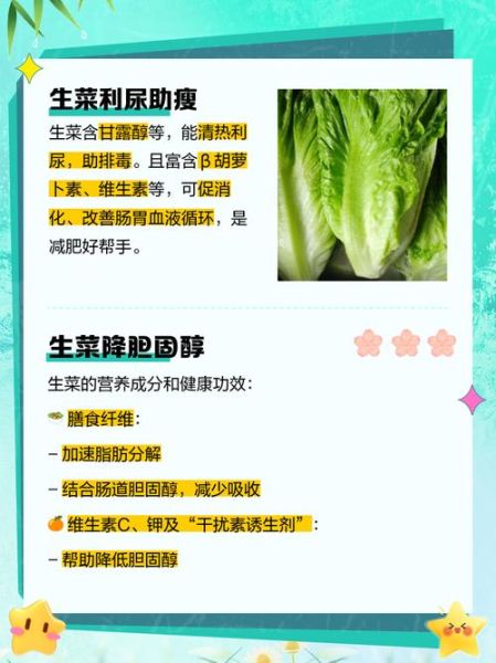生菜吃多了有什么危害_生菜过量副作用-第1张图片-山城妙识 生菜吃多了有什么危害_生菜过量副作用-第1张图片-山城妙识