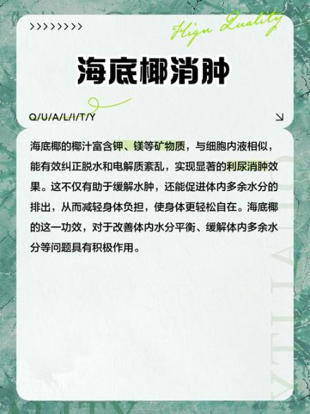 海底椰是什么_海底椰的功效与作用-第2张图片-山城妙识