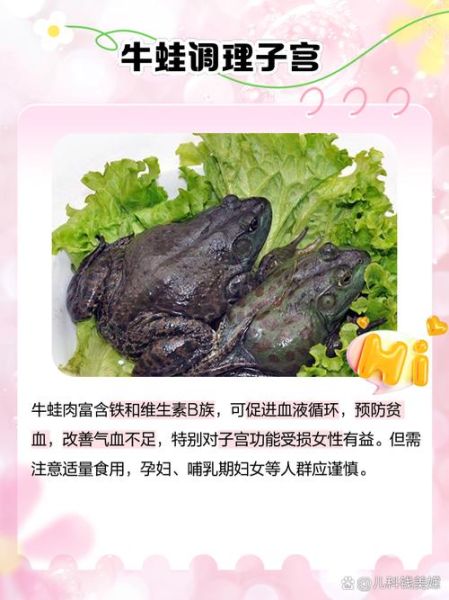 女人吃牛蛙有什么好处_女人吃牛蛙会胖吗-第1张图片-山城妙识