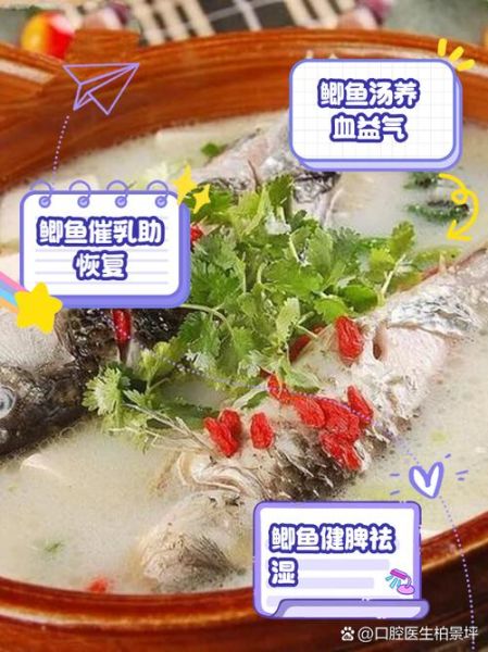 女人喝鲫鱼汤三个月的变化_长期喝鲫鱼汤有什么好处-第1张图片-山城妙识