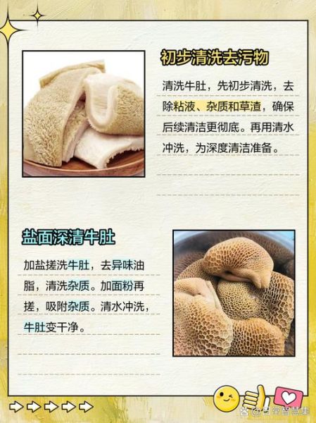 牛肚怎么洗才干净_牛肚清洗的正确方法-第1张图片-山城妙识