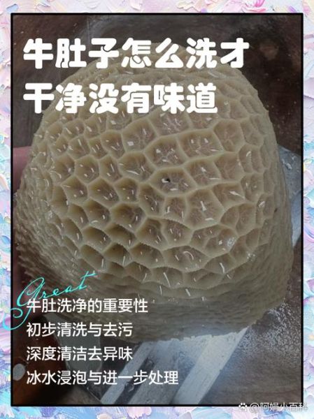 牛肚怎么洗才干净_牛肚清洗的正确方法-第2张图片-山城妙识