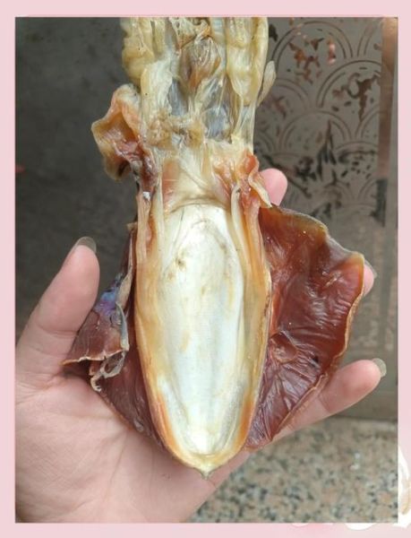 墨鱼炖汤产妇能吃吗_墨鱼炖汤下奶做法-第3张图片-山城妙识 墨鱼炖汤产妇能吃吗_墨鱼炖汤下奶做法-第3张图片-山城妙识