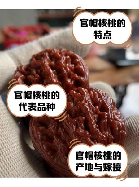 官帽核桃多少钱一对_如何挑选性价比高的官帽核桃-第2张图片-山城妙识