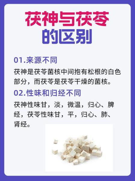 茯神的功效与作用及副作用_茯神适合什么人吃-第2张图片-山城妙识