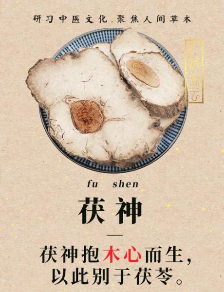 茯神的功效与作用及副作用_茯神适合什么人吃-第1张图片-山城妙识