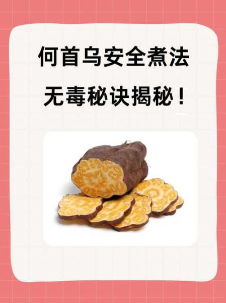 生何首乌怎么吃_生何首乌的正确用法-第1张图片-山城妙识 生何首乌怎么吃_生何首乌的正确用法-第1张图片-山城妙识