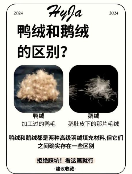 白鸭绒和灰鸭绒哪个好_白鸭绒和灰鸭绒区别-第1张图片-山城妙识 白鸭绒和灰鸭绒哪个好_白鸭绒和灰鸭绒区别-第1张图片-山城妙识