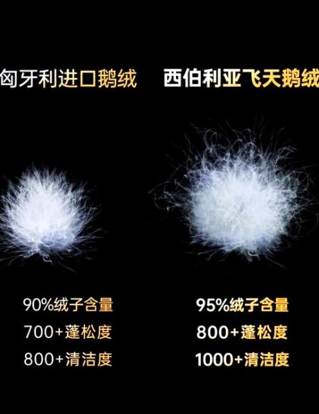 白鸭绒和灰鸭绒哪个好_白鸭绒和灰鸭绒区别-第3张图片-山城妙识 白鸭绒和灰鸭绒哪个好_白鸭绒和灰鸭绒区别-第3张图片-山城妙识