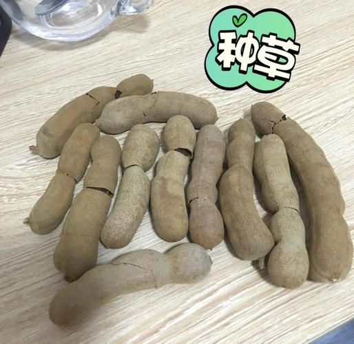 酸角汁孕妇可以喝吗_孕妇喝酸角汁注意事项-第1张图片-山城妙识