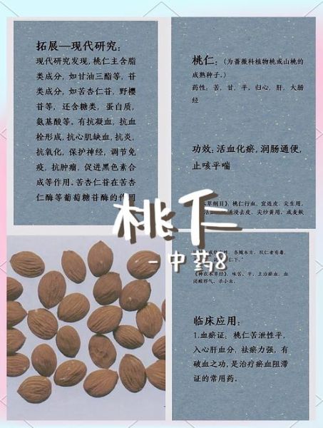 桃仁的功效与作用有哪些_桃仁主治什么病-第2张图片-山城妙识 桃仁的功效与作用有哪些_桃仁主治什么病-第2张图片-山城妙识