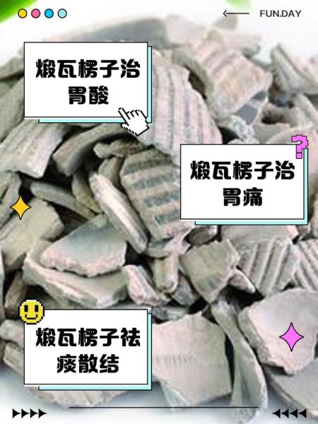 瓦楞子的功效与作用_瓦楞子主要治什么病-第1张图片-山城妙识