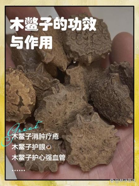 木鳖子别名有哪些_木鳖子别名功效区别-第2张图片-山城妙识 木鳖子别名有哪些_木鳖子别名功效区别-第2张图片-山城妙识