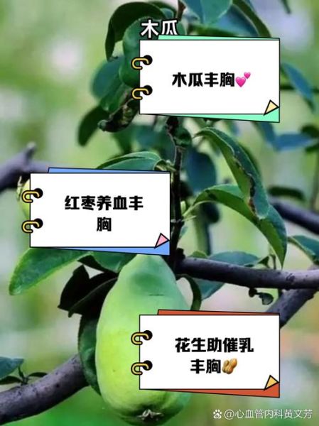 吃什么菜丰胸最有效_丰胸食物排行榜-第3张图片-山城妙识