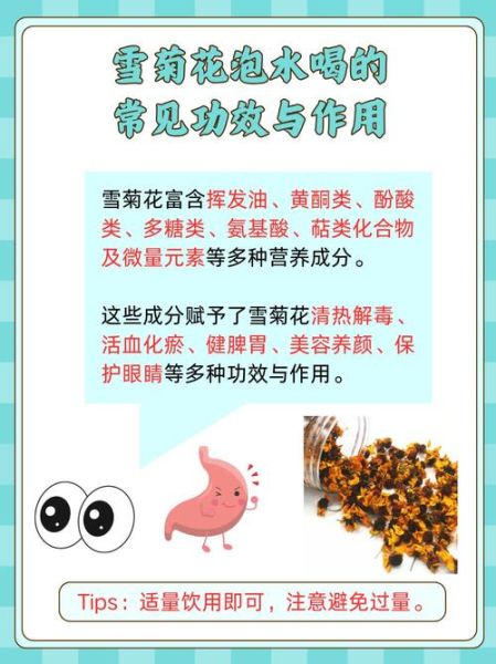 雪菊的功效与作用有哪些_雪菊泡水喝的禁忌-第1张图片-山城妙识