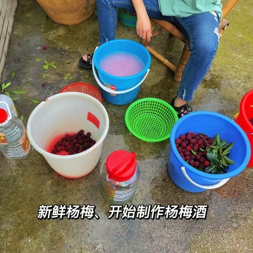 自制杨梅酒的做法_杨梅酒怎么泡才正宗-第2张图片-山城妙识