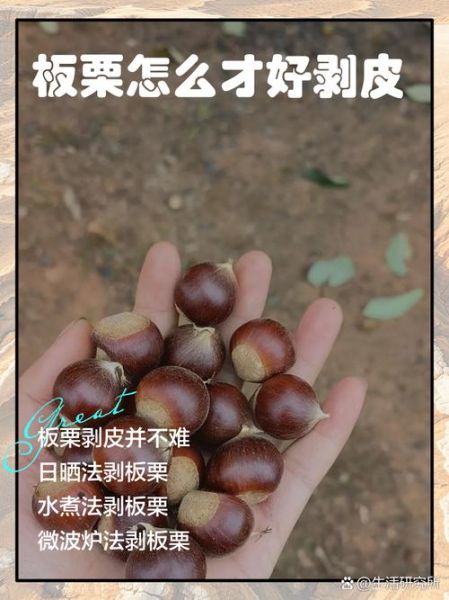 水煮栗子怎么剥皮_栗子快速去皮小窍门-第3张图片-山城妙识 水煮栗子怎么剥皮_栗子快速去皮小窍门-第3张图片-山城妙识