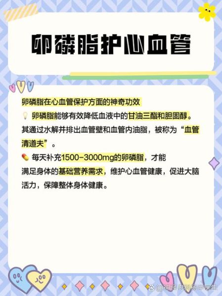女人吃卵磷脂的危害_长期吃卵磷脂副作用-第1张图片-山城妙识