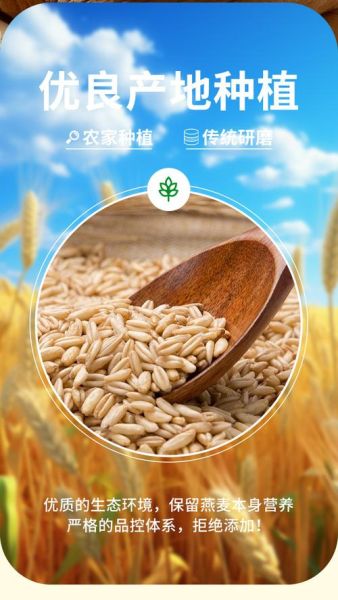 莜麦面多少钱一斤_莜麦面价格受哪些因素影响-第3张图片-山城妙识