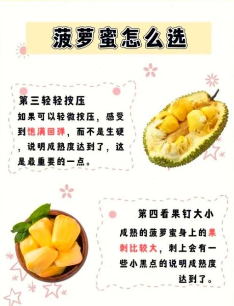 菠萝蜜图片大全_菠萝蜜怎么挑选-第1张图片-山城妙识 菠萝蜜图片大全_菠萝蜜怎么挑选-第1张图片-山城妙识
