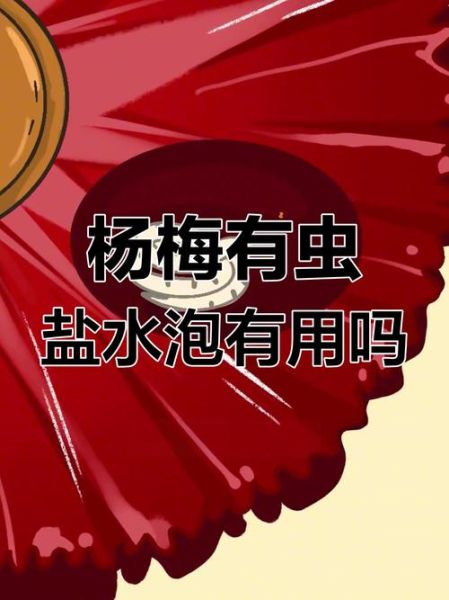 杨梅虫子可以吃吗_杨梅有虫子怎么办-第2张图片-山城妙识