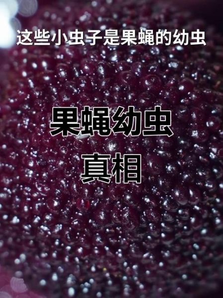 杨梅虫子可以吃吗_杨梅有虫子怎么办-第3张图片-山城妙识