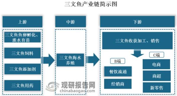 金鳟鱼是什么鱼_金鳟鱼和三文鱼区别-第3张图片-山城妙识