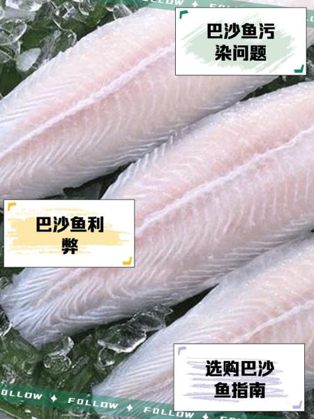 巴沙鱼是什么鱼_巴沙鱼是海鱼吗-第1张图片-山城妙识